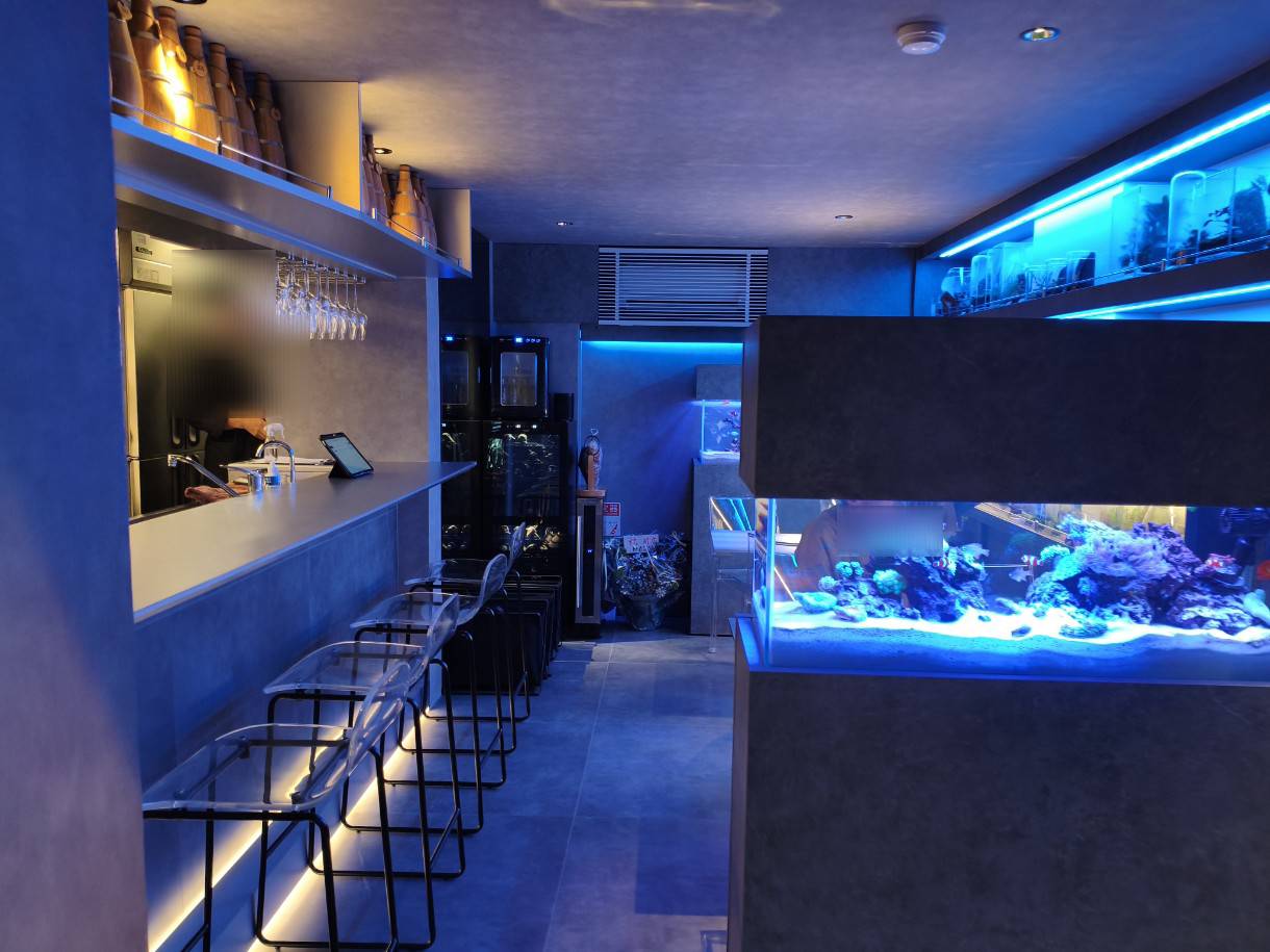 NEWOPEN！宮崎市広島【cafe&BarBIOS】熱帯魚や水槽も購入可能♪まるでアクアリウム。洗練された大人の空間 - ひじり～の孤独のグルメ（宮崎ランチ＆宮崎お買い得情報）