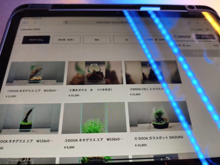 NEWOPEN！宮崎市広島【cafe&BarBIOS】熱帯魚や水槽も購入可能♪まるでアクアリウム。洗練された大人の空間 - ひじり～の孤独のグルメ（宮崎ランチ＆宮崎お買い得情報）